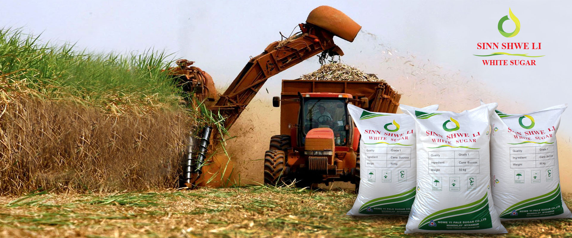 SINN SHWE LI SUGAR